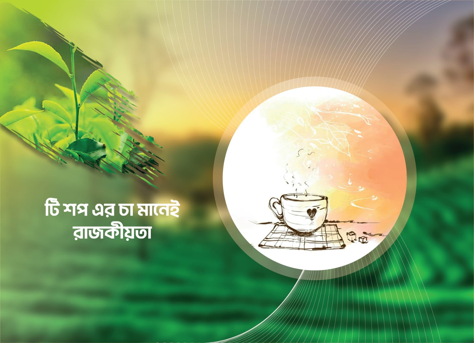 Tea Shop In Bangladesh - Tea Shop BD